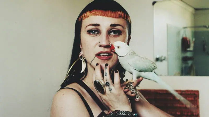 HIATUS KAIYOTE LEAD SINGER – NAI PALM RELEASES ALBUM