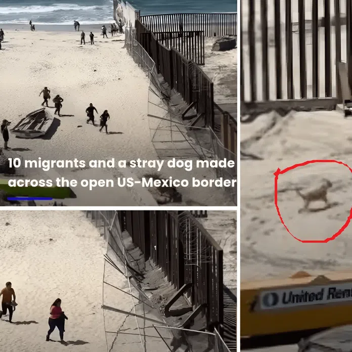 Migrants and Stray Dog Run Across US-Mexico Border in Viral Video