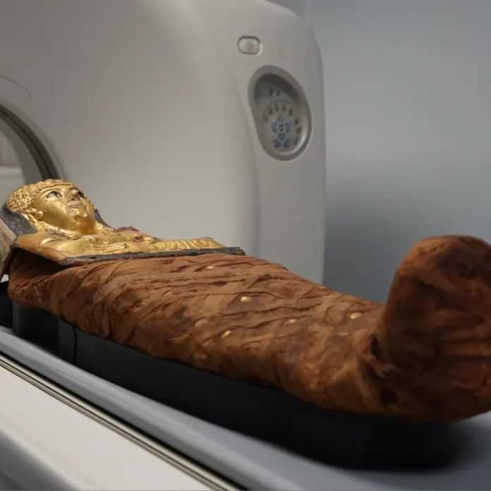 Why Victorians Consumed Egyptian Mummies: A Shocking Medicinal Practice ...