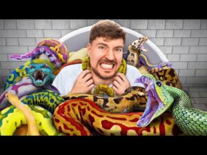 MrBeast Takes on 'Snake Island' – The Most Dangerous Place on Earth ...