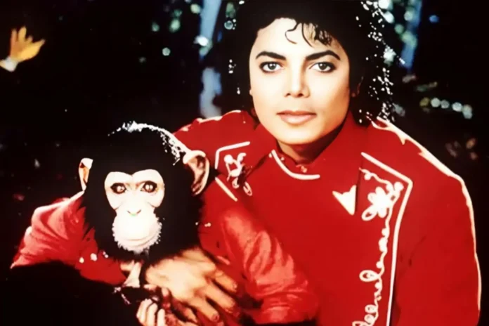 MJ's Chimp Bubbles Alive & Well at 42 in Florida Sanctuary - HypeFresh Inc